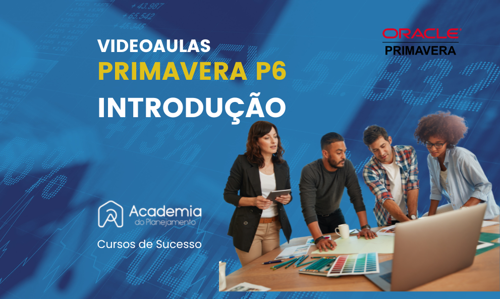 Primavera P6 Professional - Introdução - Academia do Planejamento