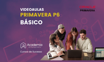 Primavera P6 Professional - Básico - Academia do Planejamento