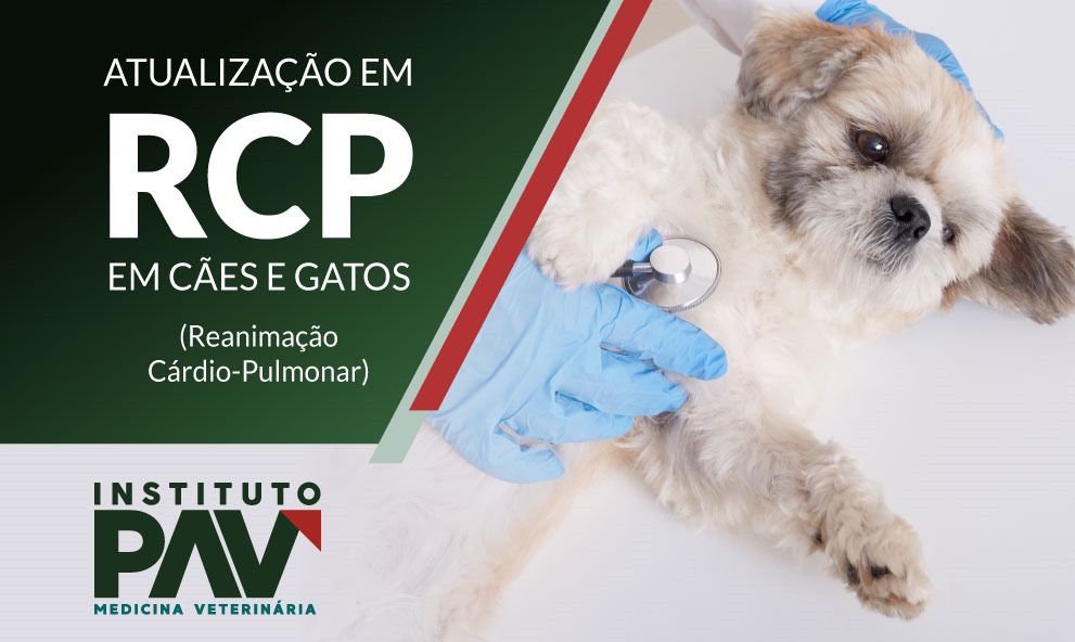 Atualização em RCP (Reanimação Cardio-Pulmonar) em Cães e Gatos ...