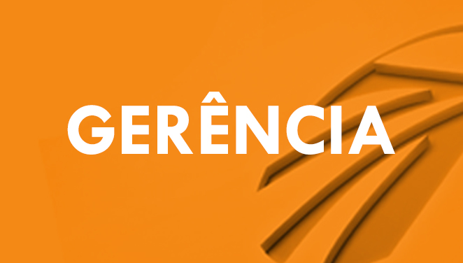Gerência - Brudam