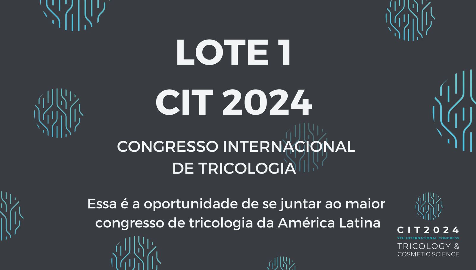 1o LOTE - CIT 2024 - CAECI- COMERCIO, ESTÉTICA E CURSOS LTD