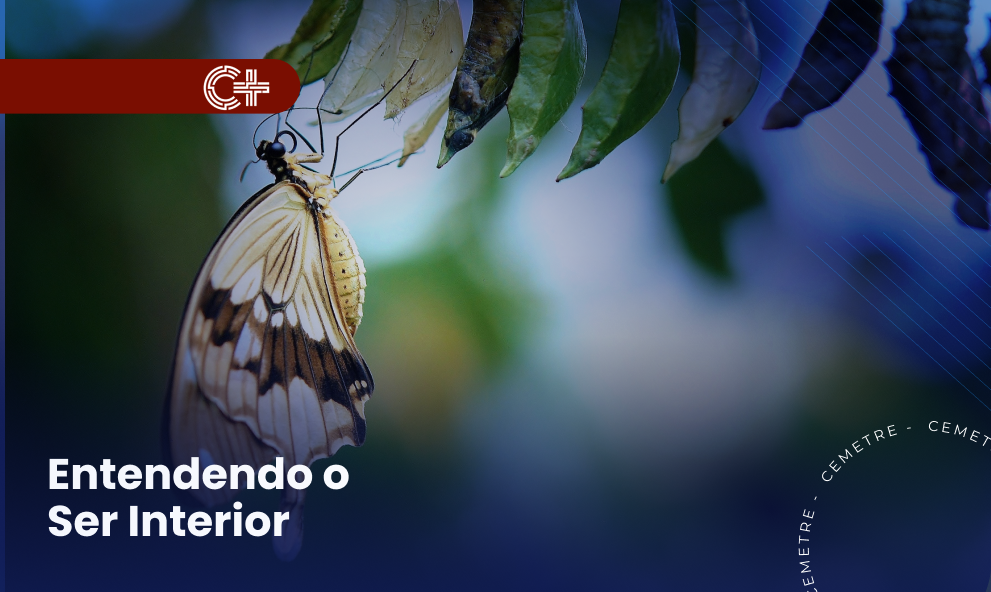 Entendendo o Ser Interior (CFMTP) - Centro Metodista de Ensino e ...