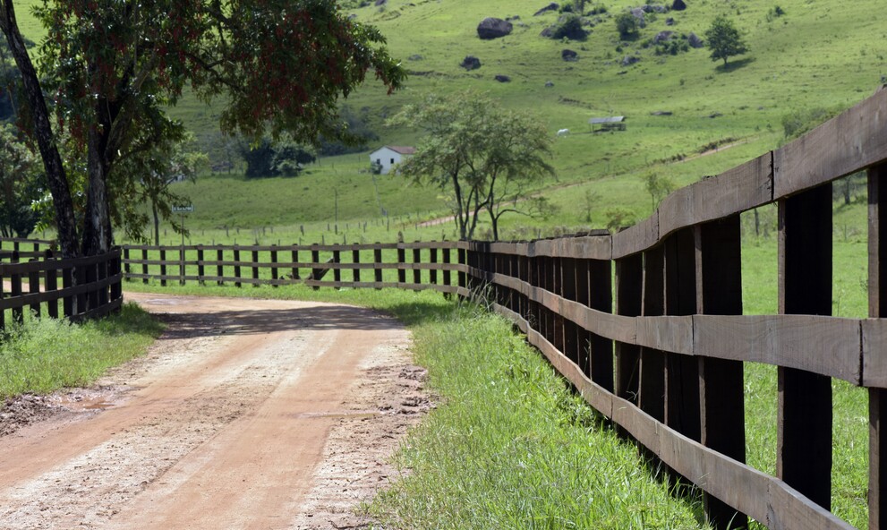 DITR 2025 e suas novidades - Contabilista Play Treinamentos Ltda