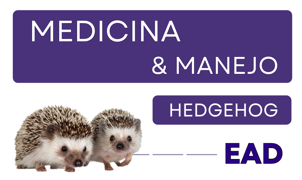 Medicina e Manejo de Hedgehog - CURSOS VET BR