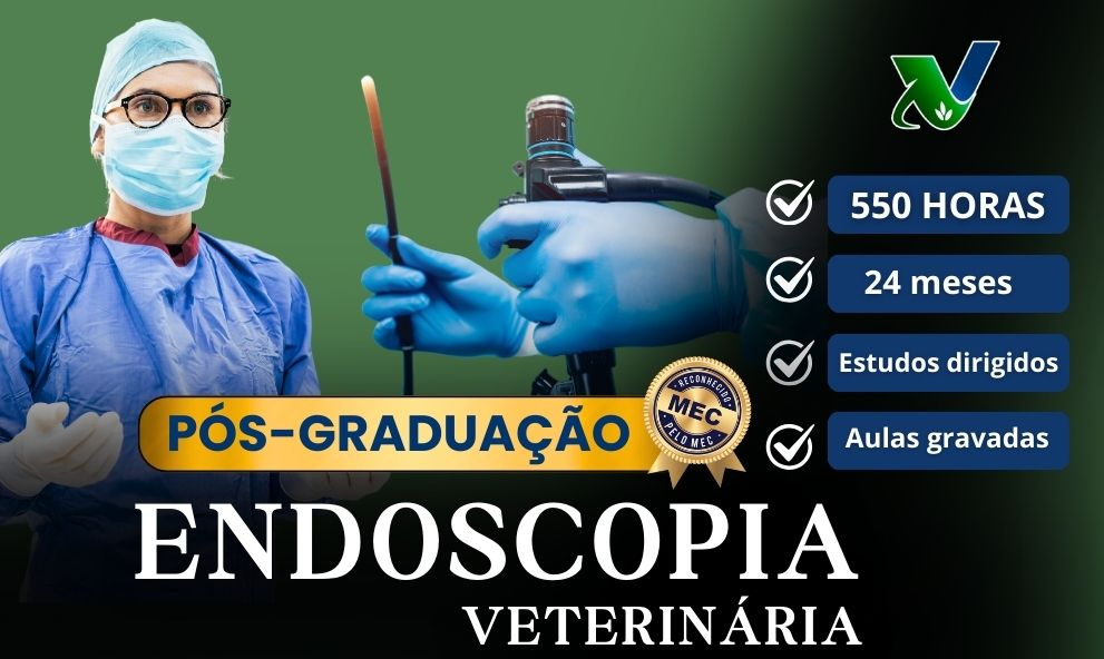 Pós Graduação em Endoscopia Veterinária - CURSOS VET BR