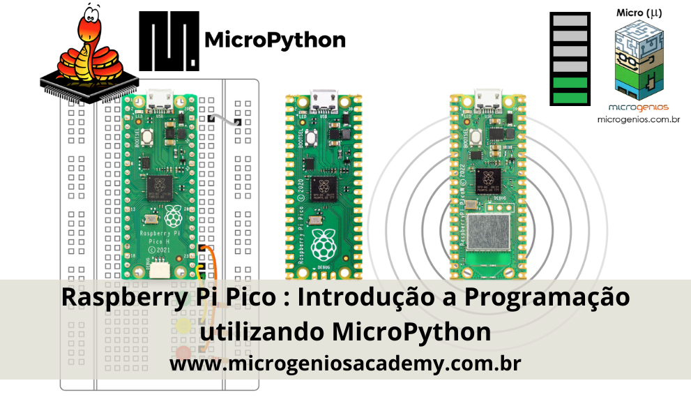 Raspberry Pi Pico : Introdução a Programação utilizando MicroPython ...