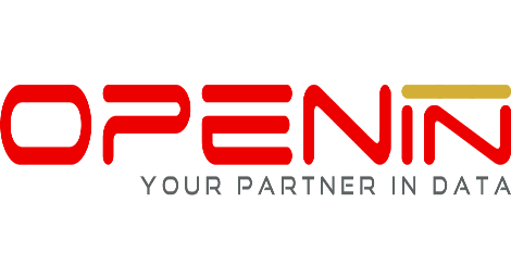 Openin Big Data - Your Partner in Data