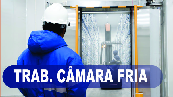 EXPOSIÇÃO E TRABALHO EM CÂMARA FRIA - CWSE BRASIL COMPANY