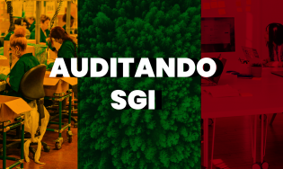 Curso online de Auditor Líder SGI - Q Academy