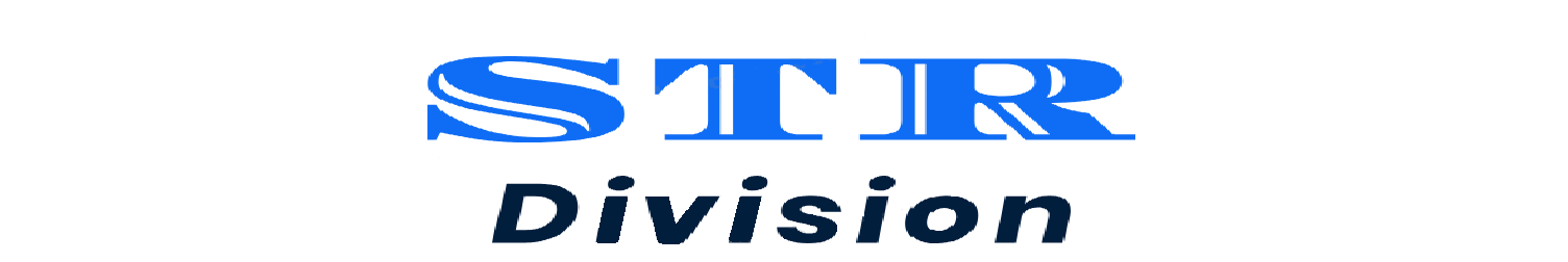 STR Division - Desperte sua Excelência Interior: Guiando Jornadas de ...