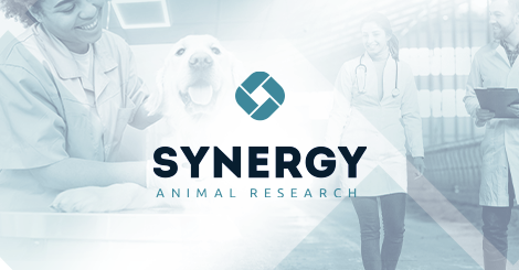Synergy Animal Research - Conhecimento que transforma a pesquisa ...