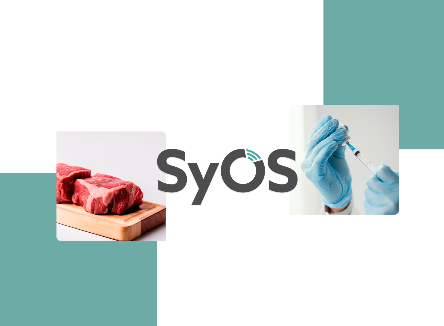 SyOS - Gestão na temperatura certa