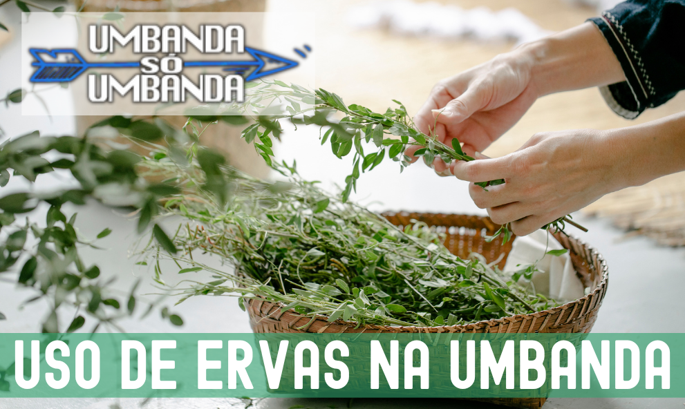 Uso de ervas na Umbanda - Umbanda só Umbanda